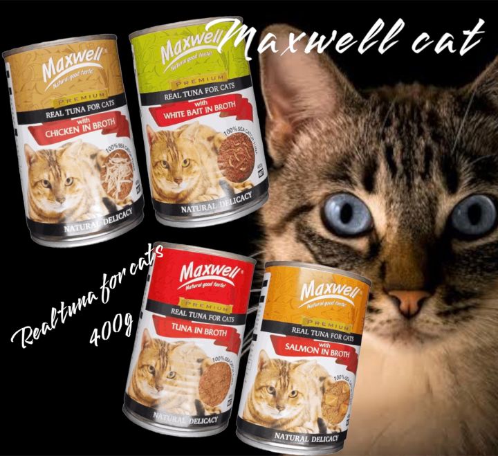 MAXWELL CATFOOD 400g | Lazada PH