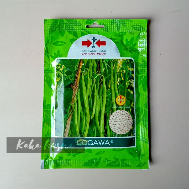 Benih Buncis LOGAWA isi 225 Butir Cap Panah Merah | Lazada Indonesia