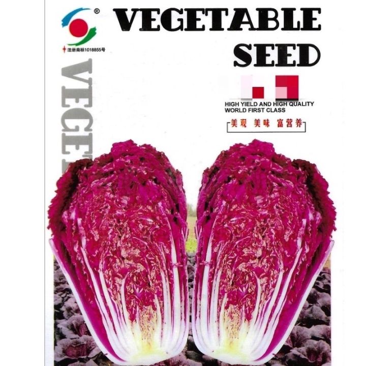 เมล็ด ผักกาดม่วง F1 ( Purple Chinese Cabbage Seed ) บรรจุ 200 เมล็ด ...