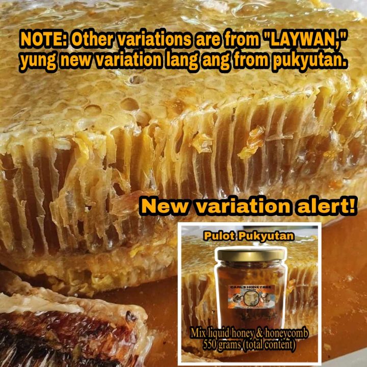 Pure Honey and Honeycomb from LAYWAN/honeybee | Lazada PH
