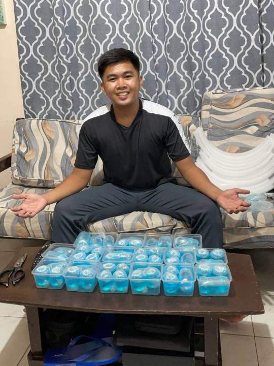 Tupperware Betta and Guppy Pang Masa | Lazada PH