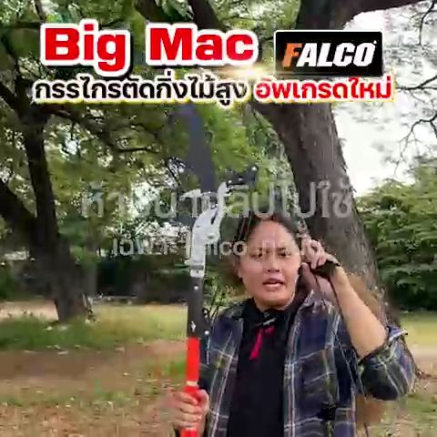 FALCO กรรไกรตัดกิ่งไม้สูง รุ่น BIG MAC กรรไกรกระตุกกิ่งไม้ ตัดแต่งกิ่งไม้ พร้อมใบเลื่อย Sk5 ...