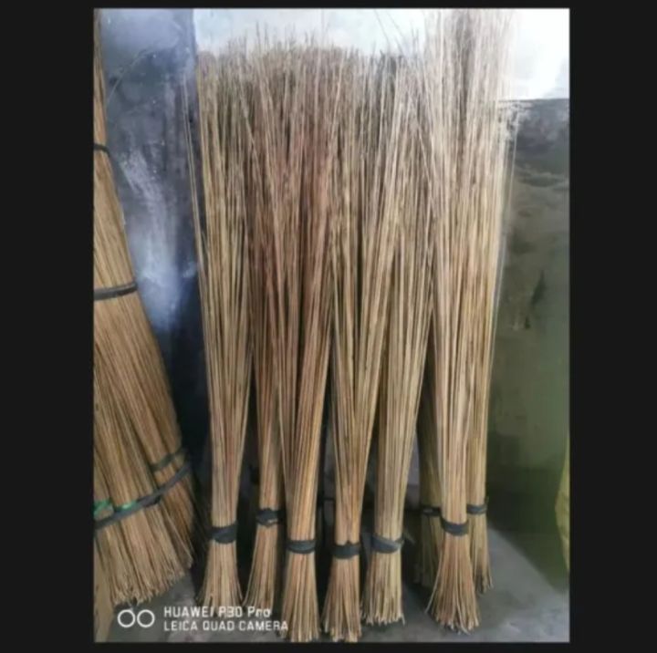 Walis Tingting - (3pc) | Lazada PH