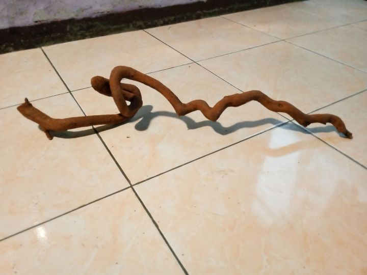 akar kayu aquascape | Lazada Indonesia