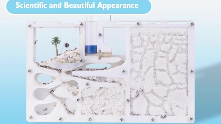 Ant Farm Castle,Habitat Science Learning Kit, Farms for Live Ants,Study ...