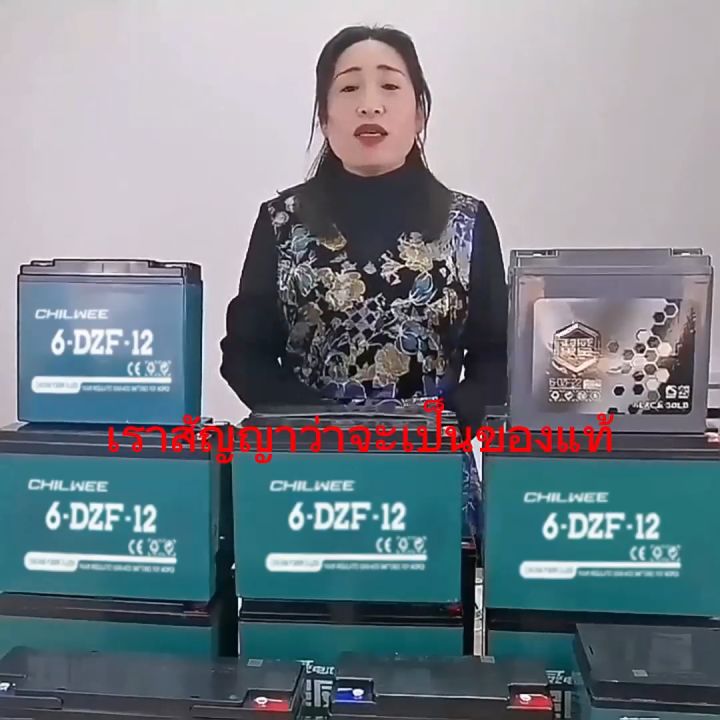 แบตเตอรี่กรดตะกั่ว CHILWEE นำเข้า แบตเตอรี่รถยนต์ไฟฟ้า 48V12Ah/20Ah ...
