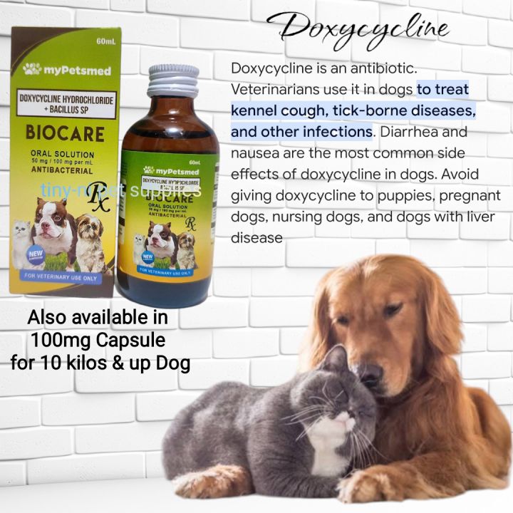 BioCare Syrup 50mg / DoxyPet Capsule100mg For Pet Dogs and Cats|Sold ...