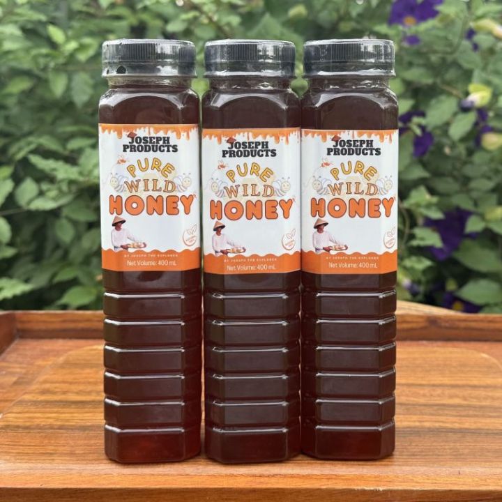Pure Wild Honey 400 ML | Lazada PH