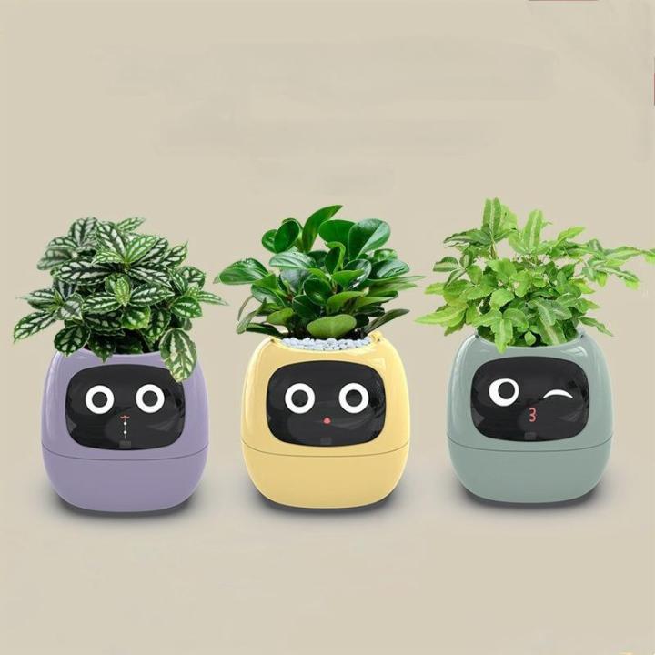 Ivy Smart Planter Endless Fun Over 49 Rich Expressions 7 Smart Sensors ...