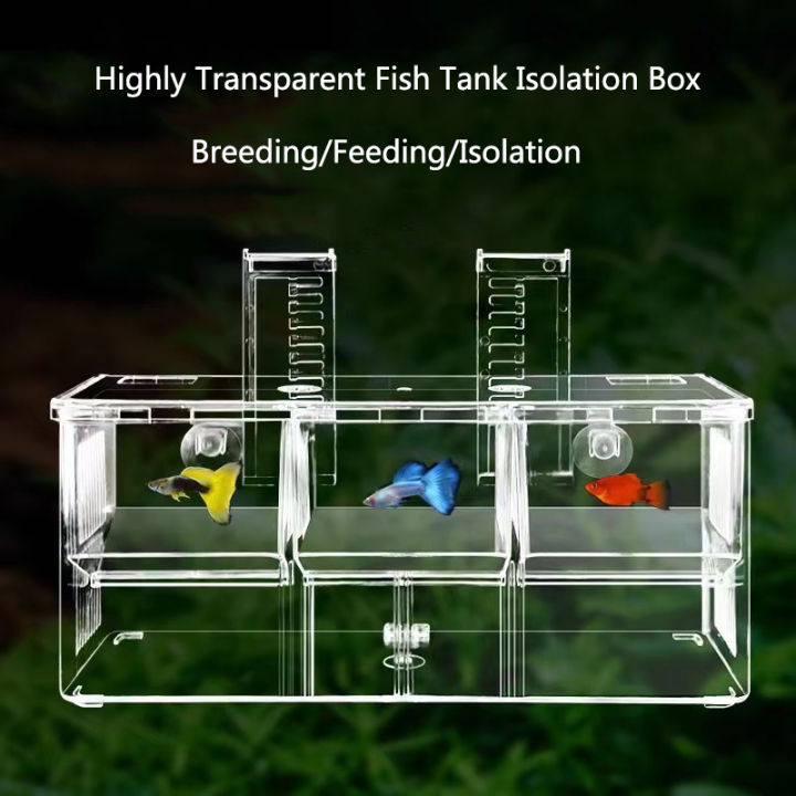 Highly transparent Aquarium Acrylic Fish Breeding Isolation Box Fish ...