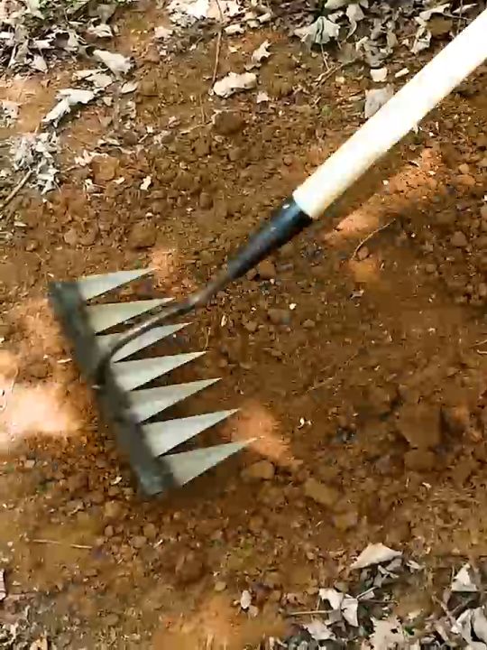 【COD+3 Days Delivery】rake with handle kalaykay with handle heavy duty ...