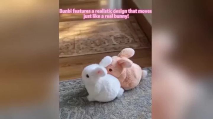 Fanyil Bunny Pal, Family Bunny Pal, Libiyi/Pets Boro/Yifare/Petsboro ...