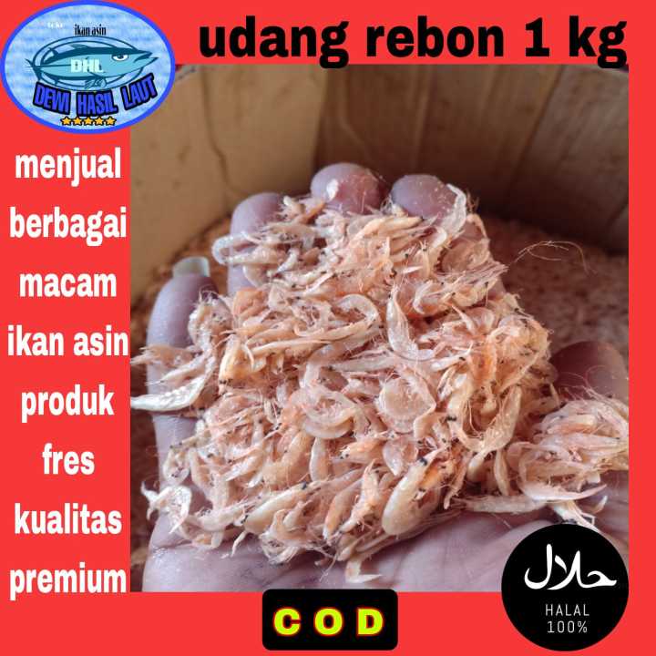 ikan asin rebon super 1kg | Lazada Indonesia