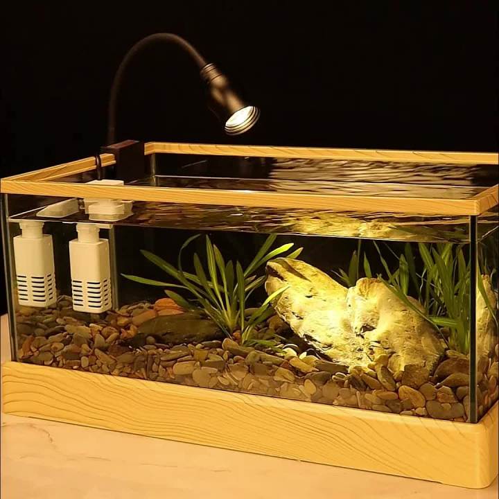 Table Top Fish Tank Set Aquarium Aquarium Fish Aquarium Small Fish Tank ...