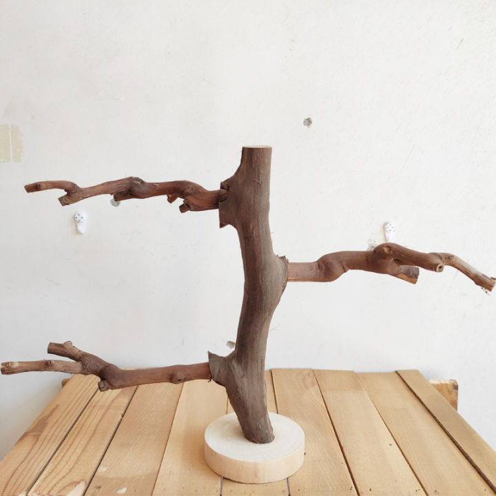 Beijing Pure Natural Fruit Tree Grape Jinguo Jinguo Thrushcross ...