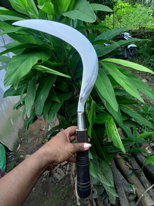 arit sabit// arit rumput// arit ranting bahan baja per murni bikinan Madura, dgn panjang ...