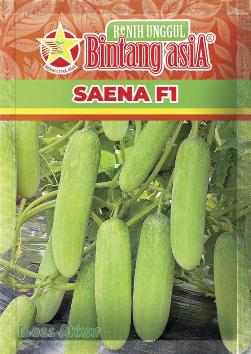 BENIH TIMUN SAENA F1 20 Gram | Lazada Indonesia