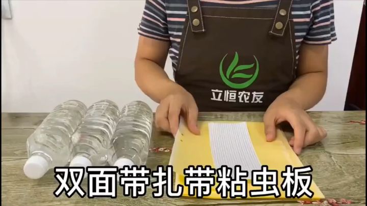 50pcs Sticky Fly Traps,Dual-Sided Sticky Traps,Fly Paper Stickers ...