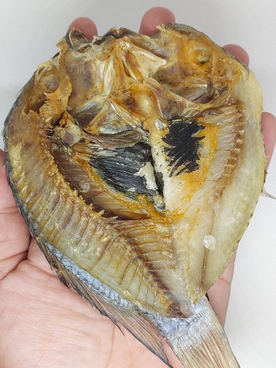 DRIED TILAPIA | DRIED FISH | 100G TO 1KG | Lazada PH