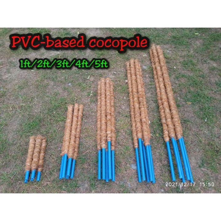 coco pole PVC base/coco pole for plants | Lazada PH