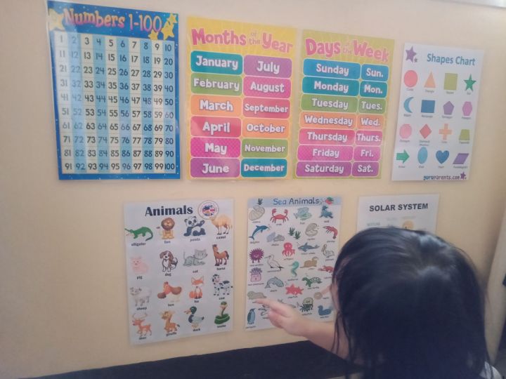 Laminated Educational Chart | Lazada PH