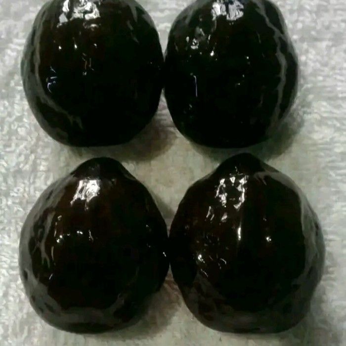 buah muncang adu jenis jalim original | Lazada Indonesia