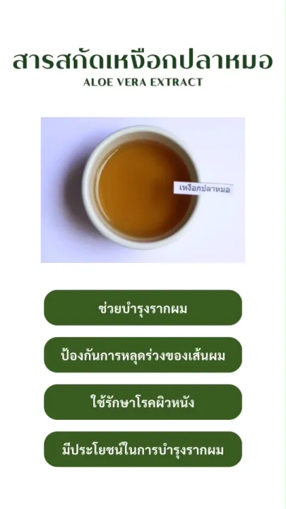 P.S.A.CHEMICALS สารสกัดเหงือกปลาหมอ Sea Holly Extract ขนาด 100 g (สาร ...