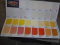 RAIN OR SHINE COLOR CHART COMPLETE GUIDE FOR COLORS ELASTOMERIC ...