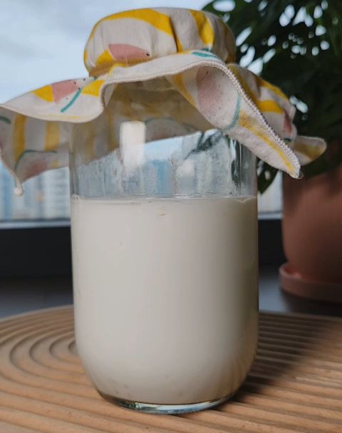 Live Milk Kefir Grains - Make Your Own fermented Milk Kefir at home ...