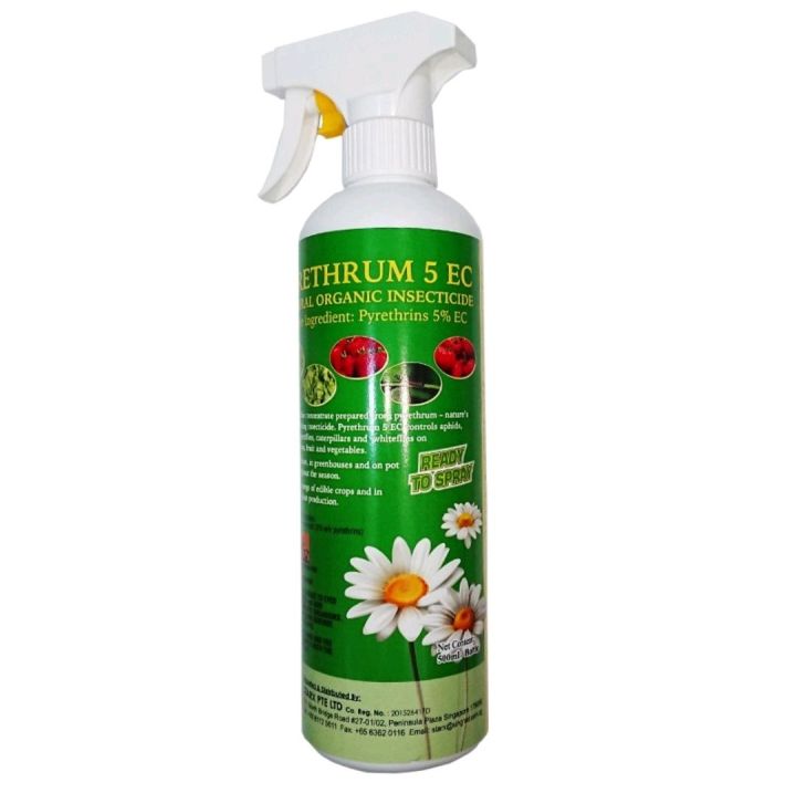 [SG 🇸🇬Store] Pyrethrum 5 EC Insecticide (500ml spray bottle) | Lazada ...