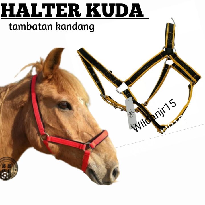 HALTER KUDA TAMBATAN KANDANG | Lazada Indonesia