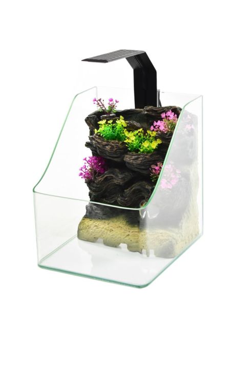 aquarium mini paludarium | Lazada Indonesia