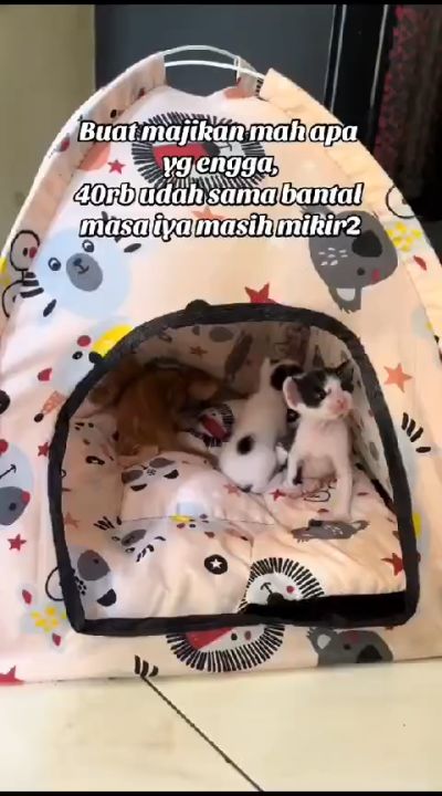 tenda kucing kasur kucing/anjing full seat | Lazada Indonesia