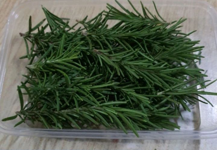 fresh rosemary, fresh harvest, organic , 20 grams per pack | Lazada PH