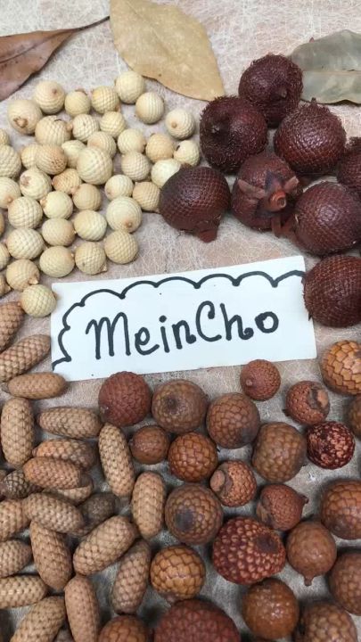 (500gr) 75-750 Biji Rotan Buah Rotan Lonjong Bulat Drini Salak Mini ...