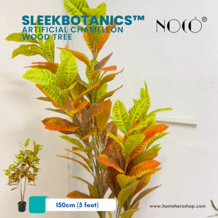Noco SleekBotanics™ Artificial Chameleon Wood Tree Pinterest Home Decor ...