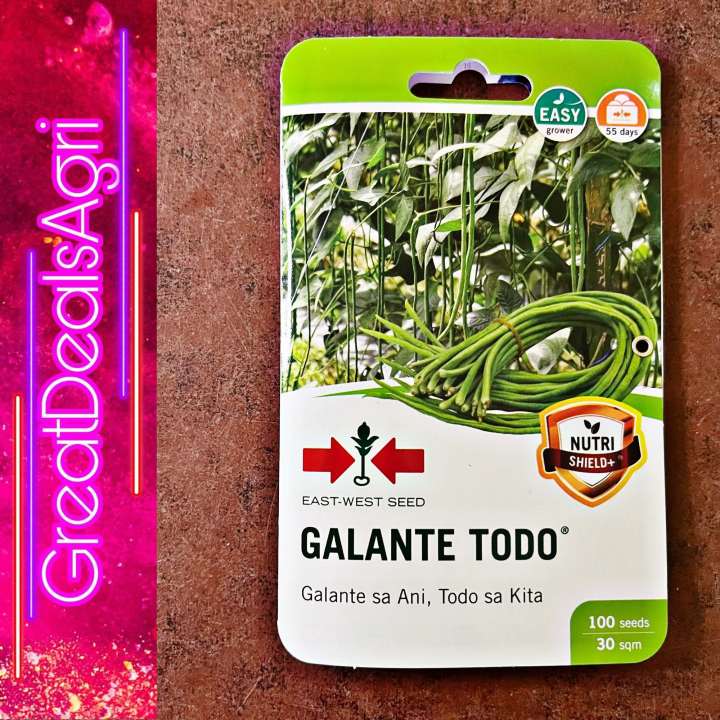 GALANTE TODO (100 SEEDS) SITAO SEEDS EAST WEST SEED | Lazada PH