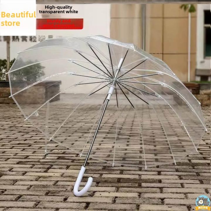 Disposable Transparent Umbrella Long Handle Hand Painted Straight ...