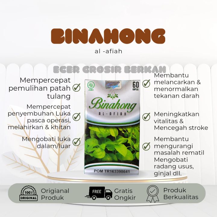Kapsul ekstrak daun Binahong Al afiah 60 kapsul | Lazada Indonesia