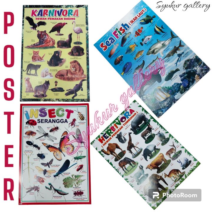 Poster Dinding EDUKASI ANAK | Lazada Indonesia