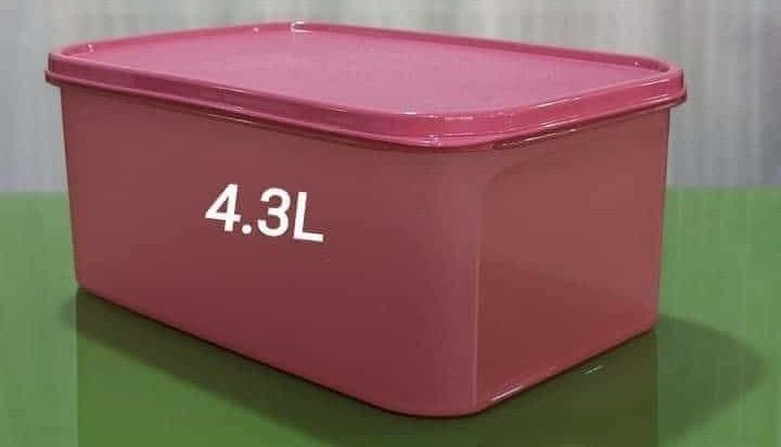 Tupperware Modular Mates 4.3L | Lazada PH
