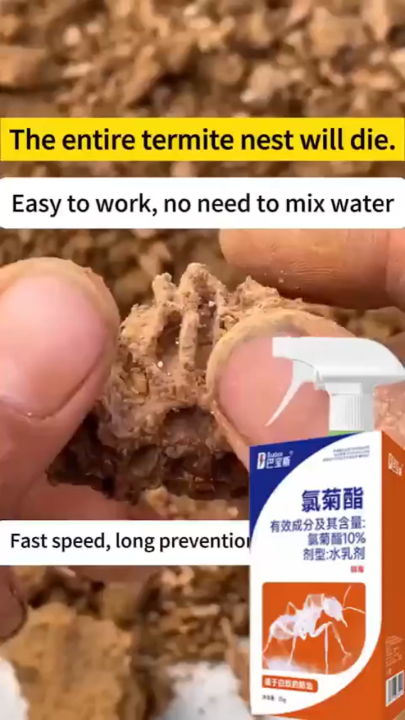 🐜99.99% Effective🐜termites killer spray termites killer spray japan ...