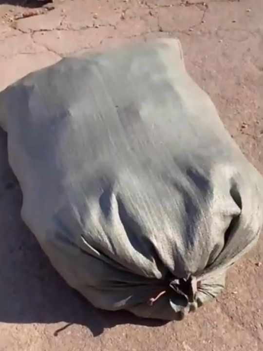 PP Woven Guni Extra Large Plastic Besar Sand Courier Storage Plastic ...