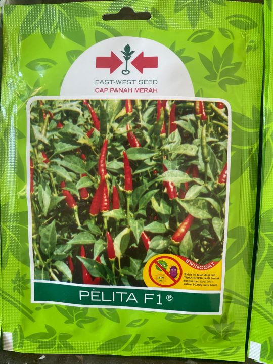 Bibit Cabe rawit Pelita F 1 Cap Panah Merah 350 Butir | Lazada Indonesia