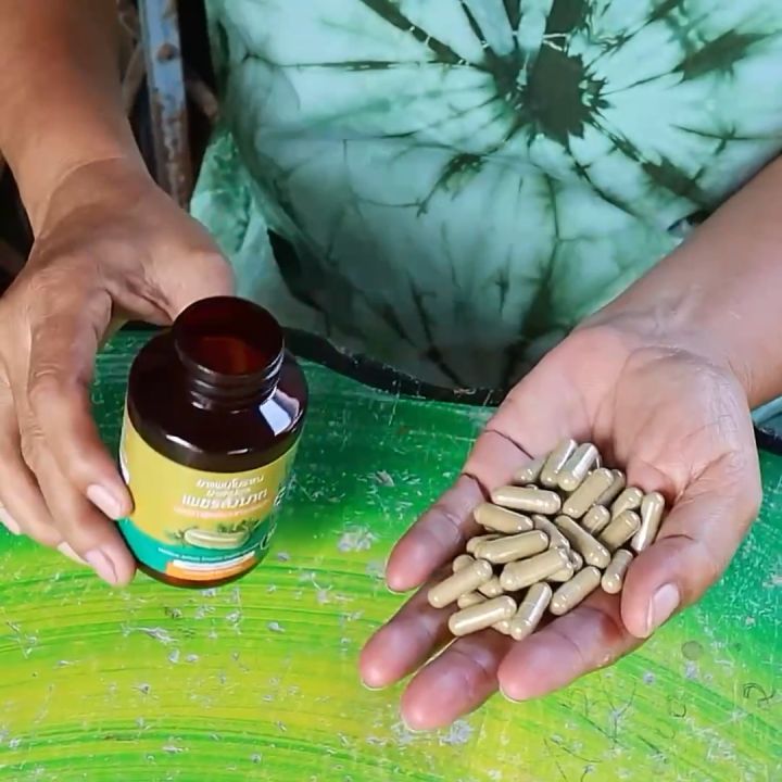 เพชรสังฆาต ริดสีดวง ติ่งผลุบโผล่ สมุนไพรริดสีดวง แคปซูลเพชรสังฆาต SN9 ...