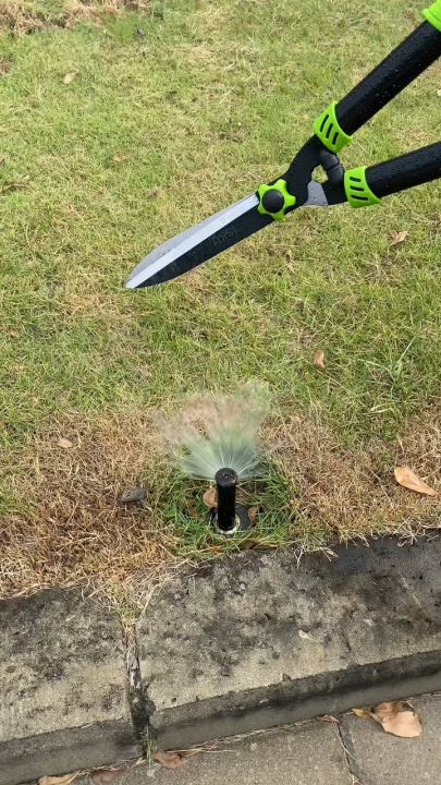 ISKU Gunting Rumput Taman Gunting tanaman gunting pangkas daun rumput ...