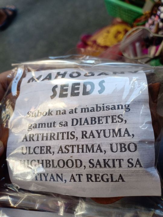 mahogany seeds gamot sa diabetes, arthritis, rayuma, ulcer, asthma, ubo ...