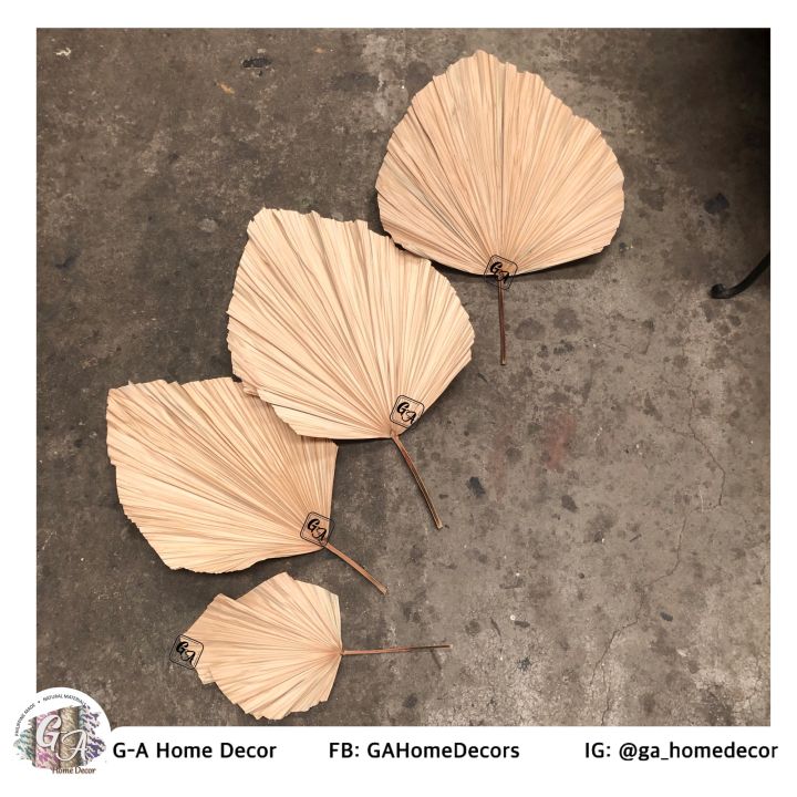 Anahaw Dried Leaves - Natural Material | Lazada PH