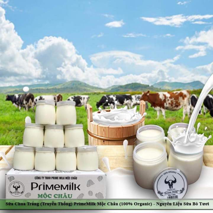 Sữa Chua Trắng nguyên bơ Prime Milk Mộc Châu thùng 12hũ (180ml/hũ ...