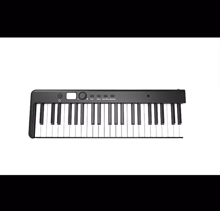 Rixton Portable Folding Piano 88 Keys Foldable Electric Piano ...